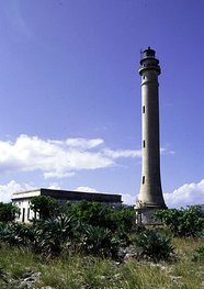 Navassa Island: The U.S.’s 160-year Forgotten Tragedy - Weird News ...