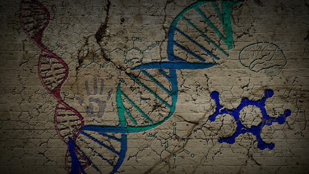 Traces of two unknown archaic human species turn up in modern DNA ...