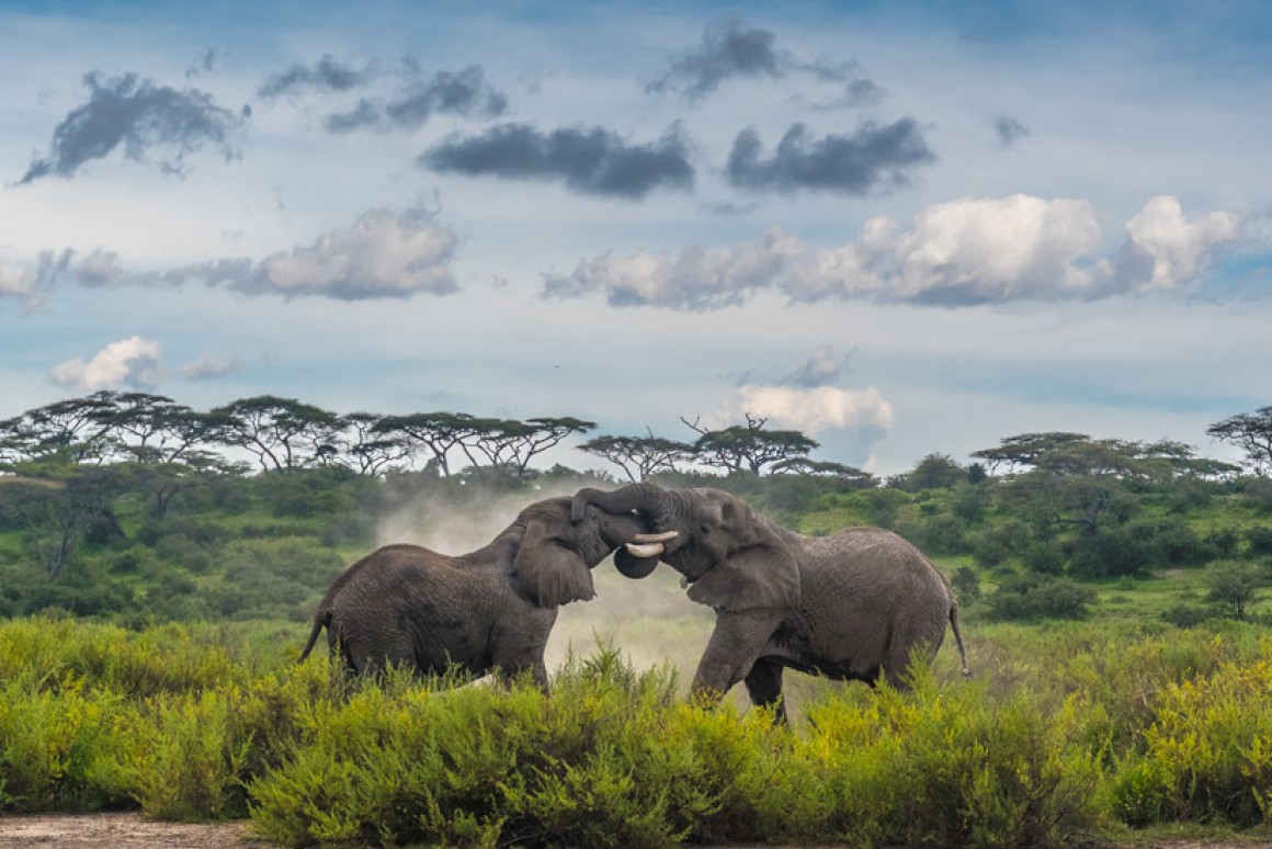 Winners of the world's most spectacular photo contest: The Pano Awards ...