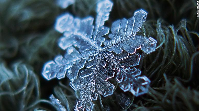 The science behind snowflakes - Weird News, Santa Fe, NM