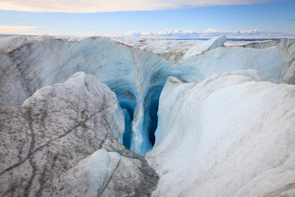 Fossilized plants discovered a mile beneath Greenland ice sheet - Weird ...