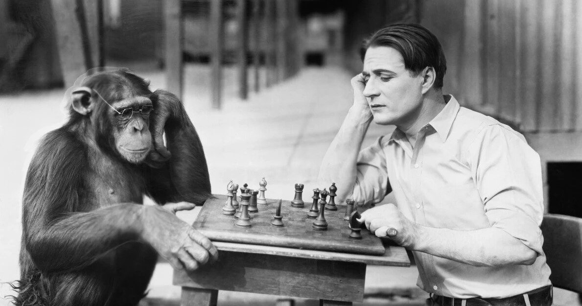 Human-monkey chimera embryos created in lab for first time - Weird News ...