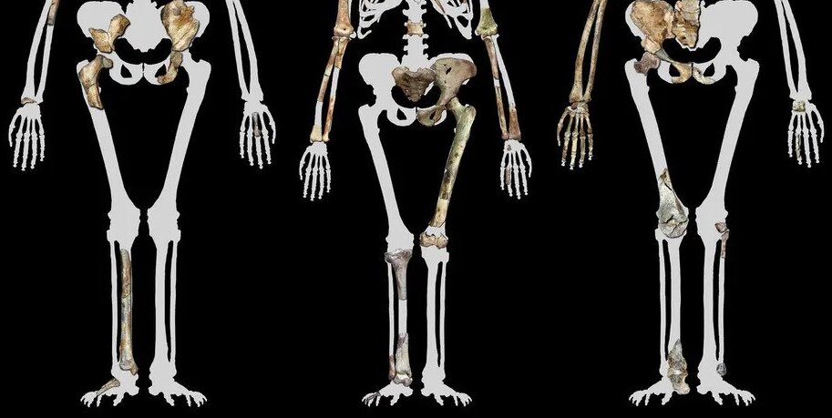 When and how was walking invented? - Weird News, Santa Fe, NM