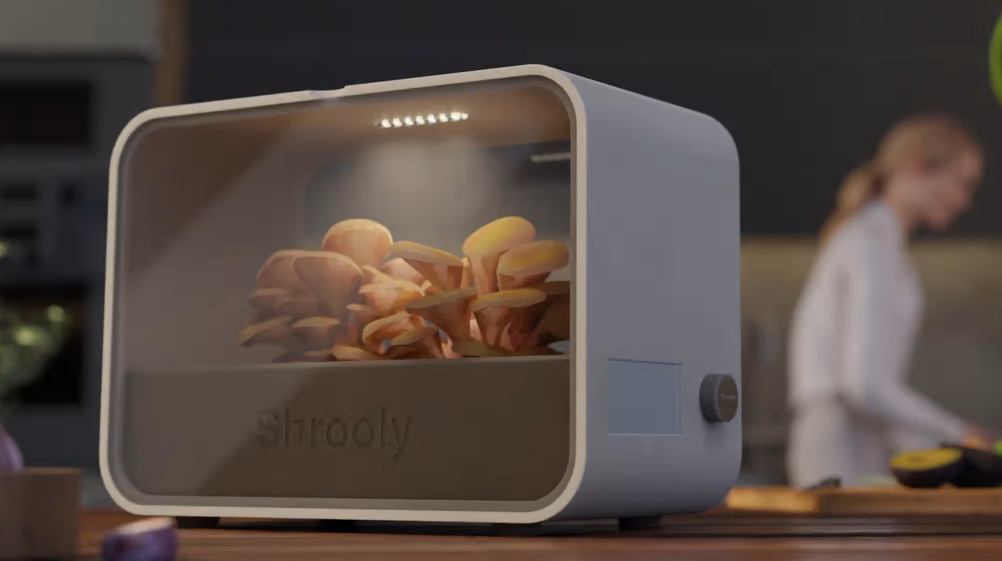 Shrooly system automates in-home mushroom-growing - Weird News, Santa ...