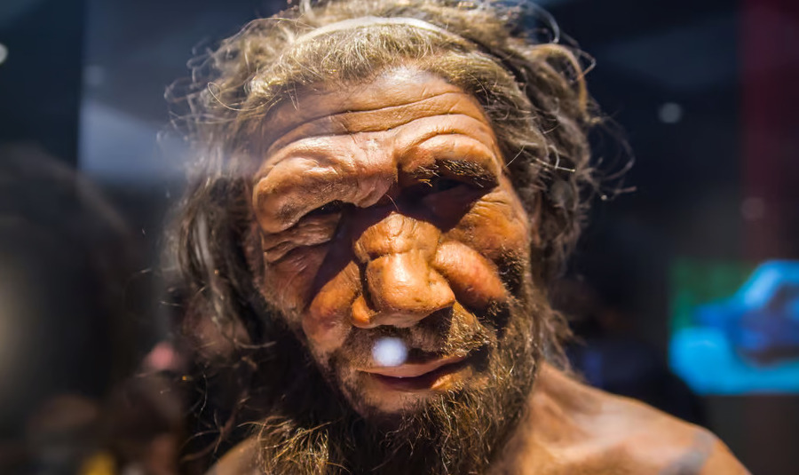 Lab-grown ancient nose receptors reveal how our ancestors smelled ...