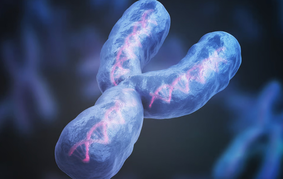 After a long search, scientists finally find out what's in his genes ...