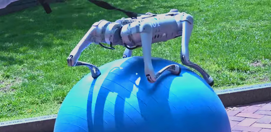 GPT trains robots better than humans – as proven by this dog on a yoga ...