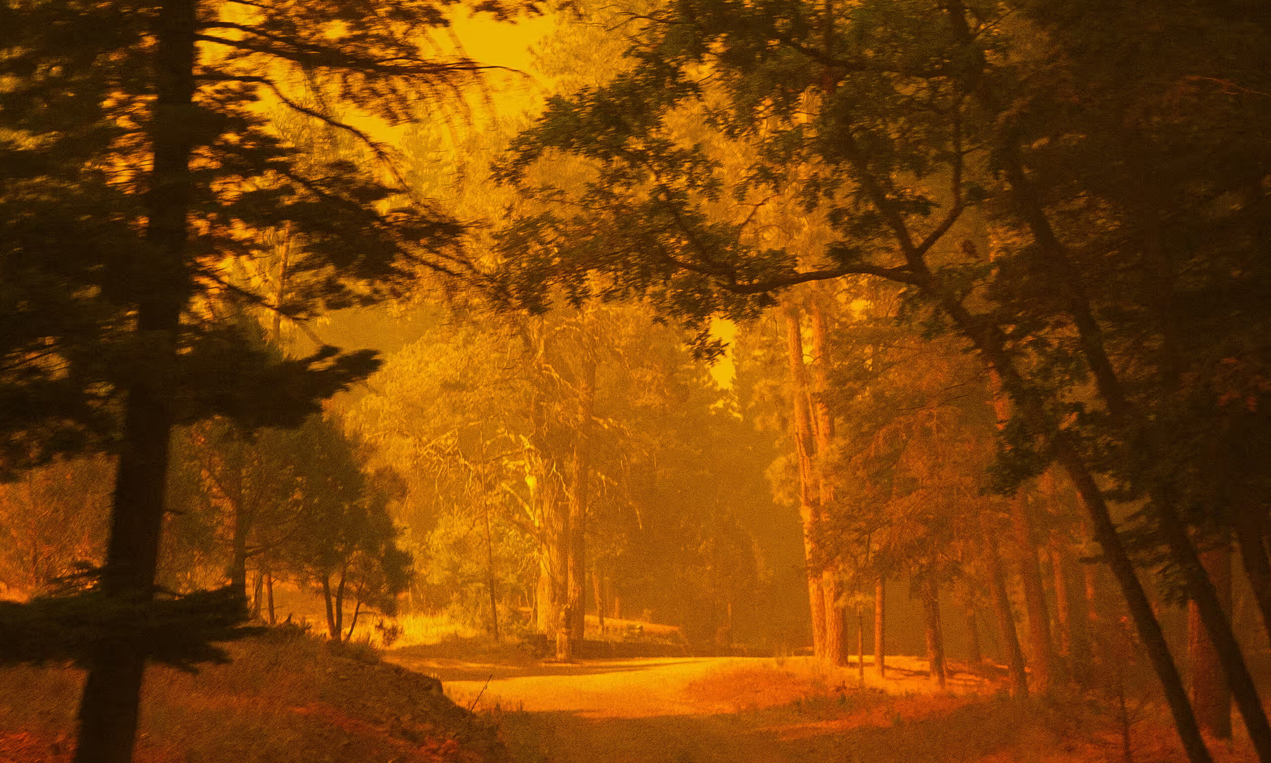 ‘The sky was on fire’: New Mexico villagers flee two deadly wildfires ...