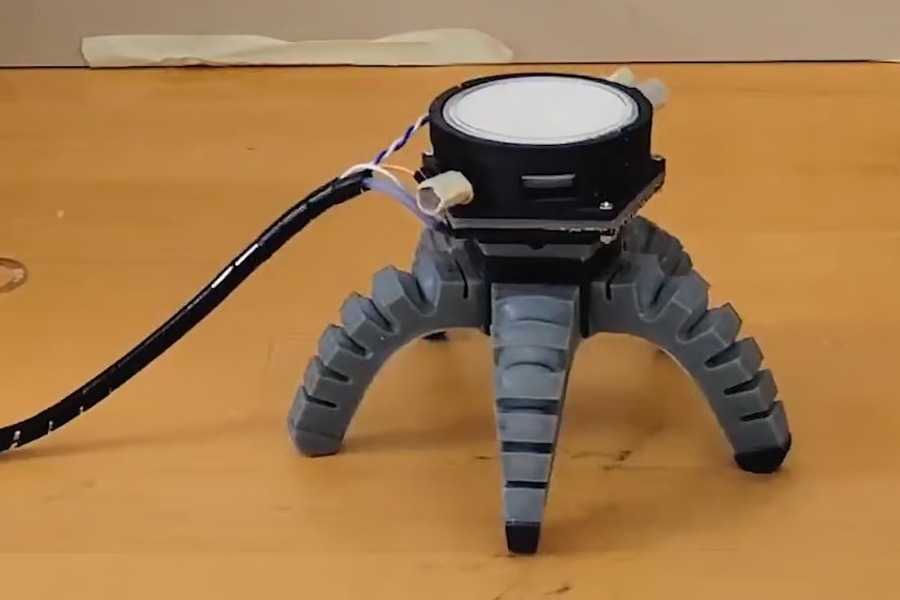 Fungus learns to drive in "biohybrid" robots - Weird News, Santa Fe, NM