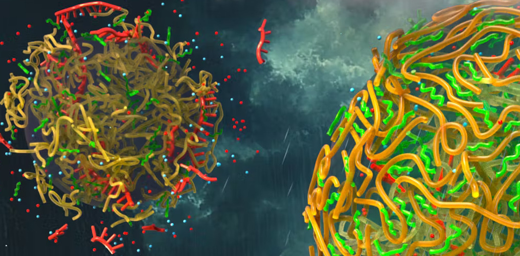 Rain may have helped form the first cells, kick-starting life as we ...