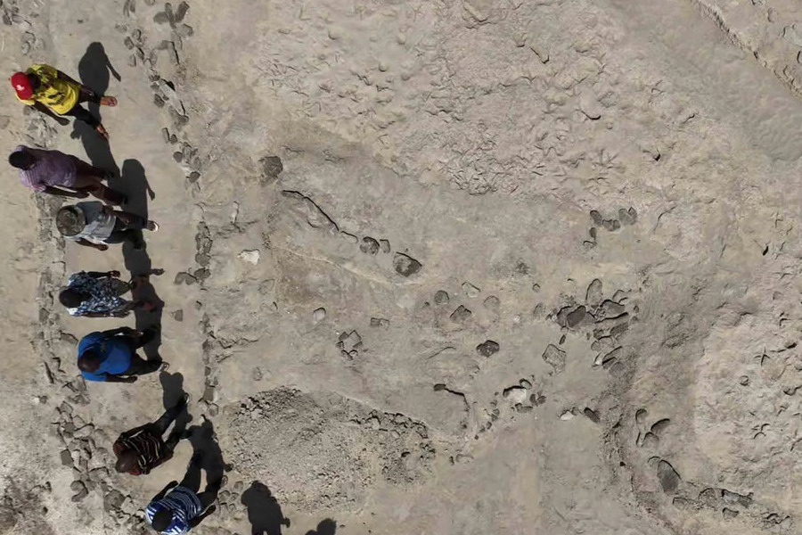 Fossil footprints reveal two hominin species crossed paths on same day ...