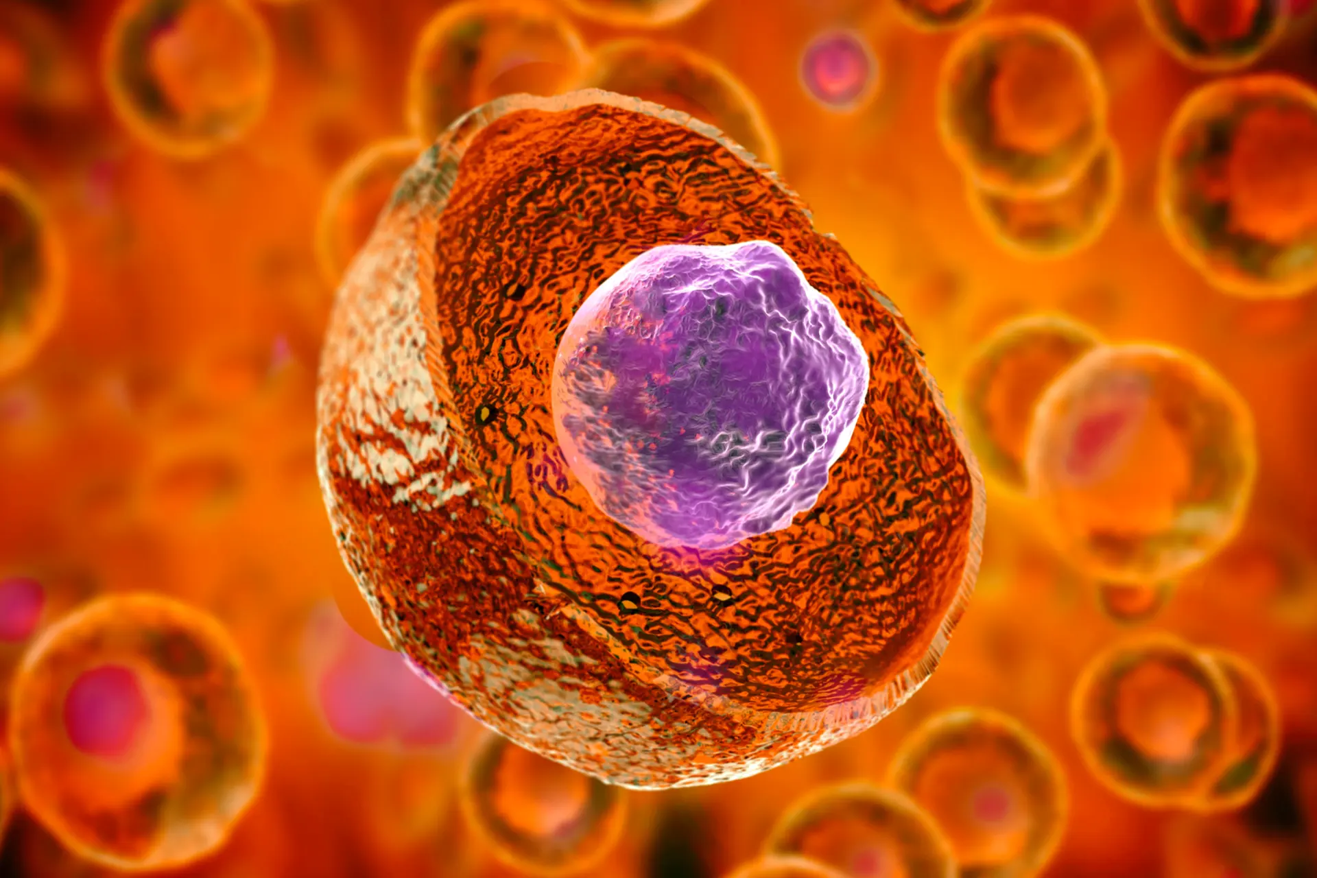 Stem cells 'instructed' to form specific tissues and organs - Weird ...